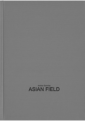 ANTONY GORMLEY: ASIAN FIELD - LASALLE